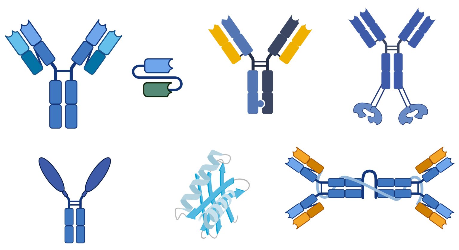 Antibody and Protein Production | Immune Biosolutions